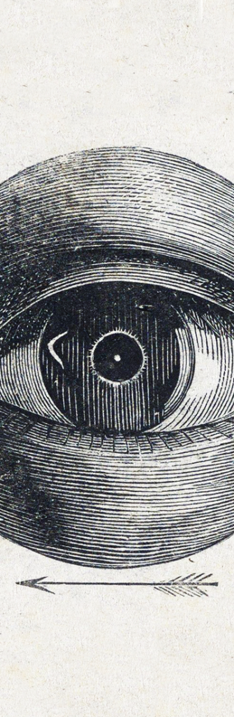 Advertising agency in kochi - 916 Minds